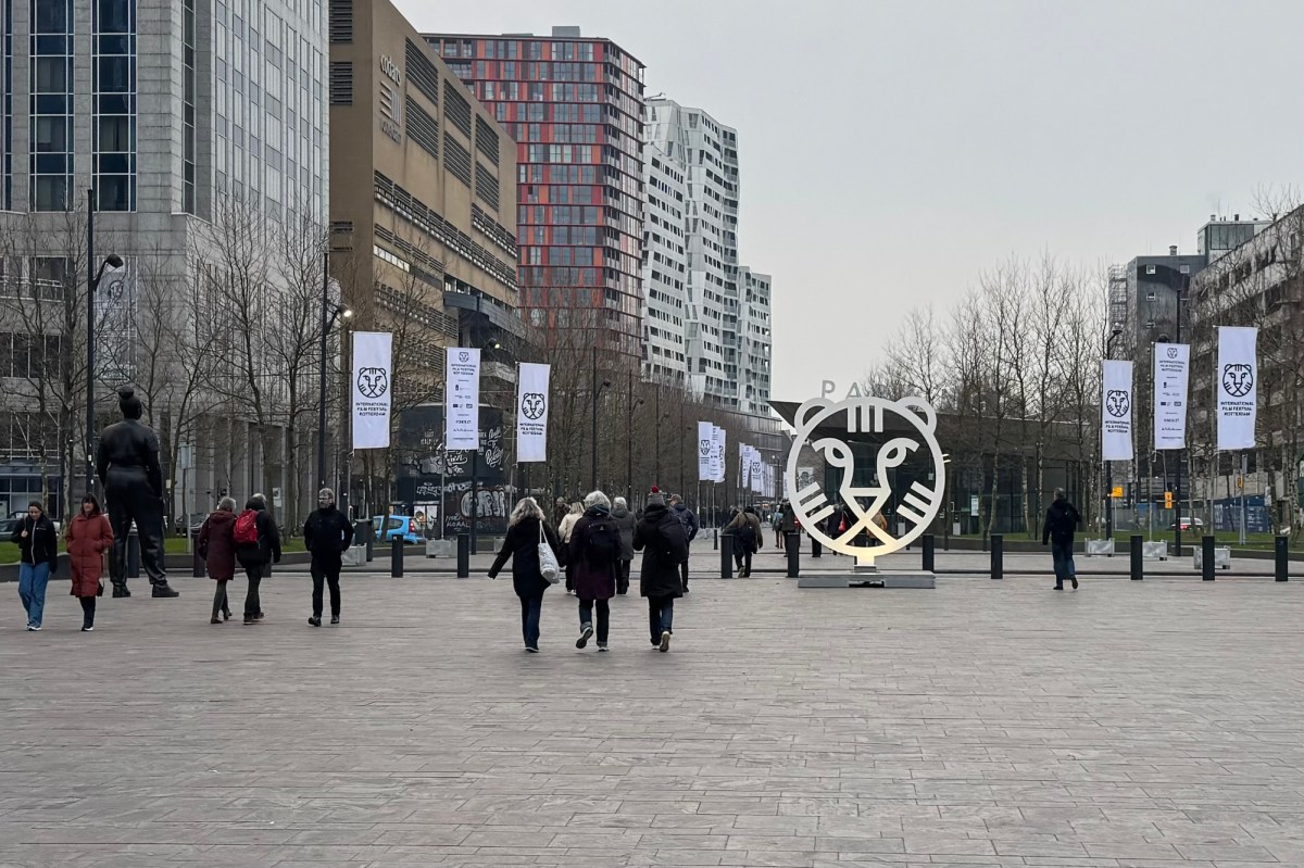 Middle fingers everywhere – Part II – Sensemaking.blog